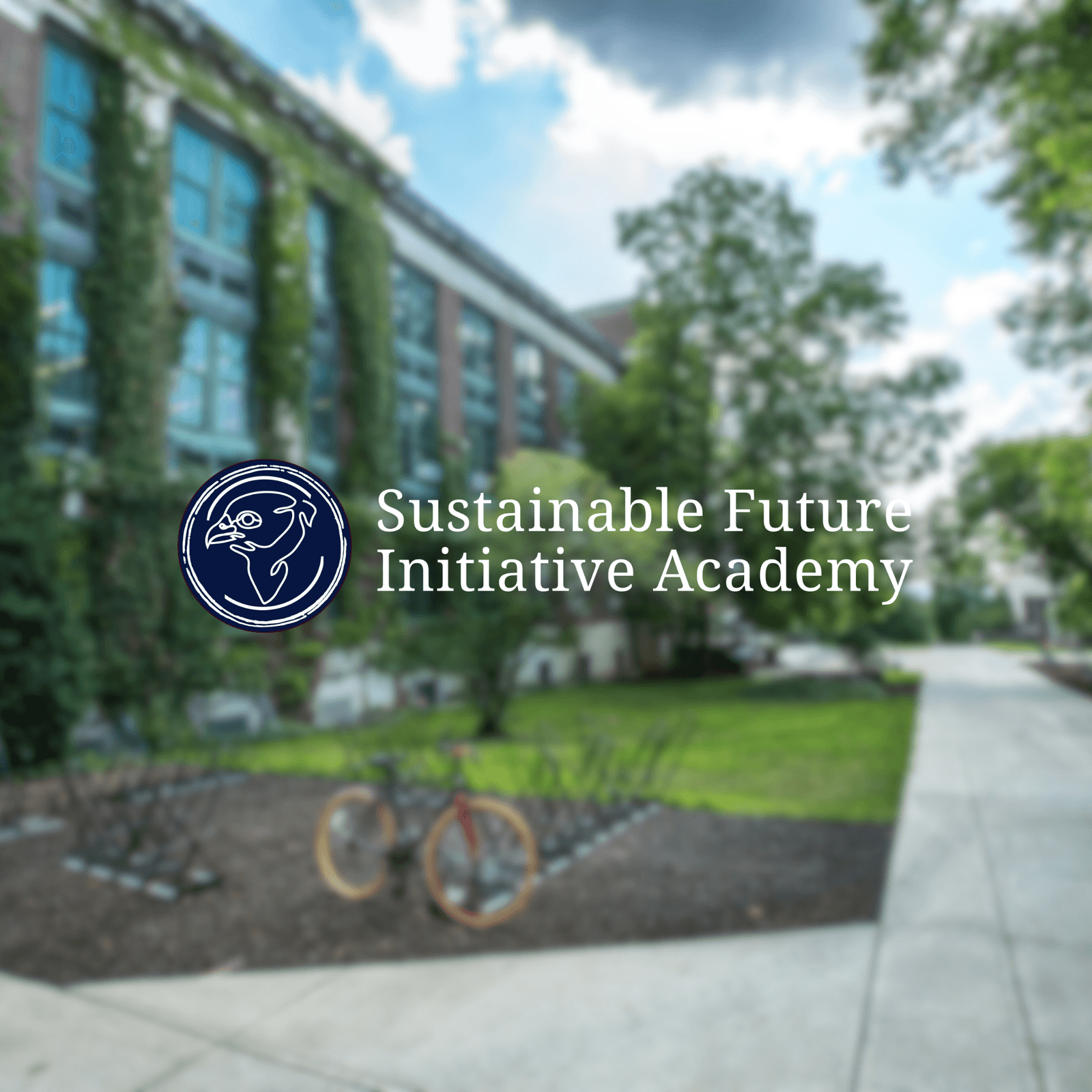 Home [www.sfinitiative.ae]